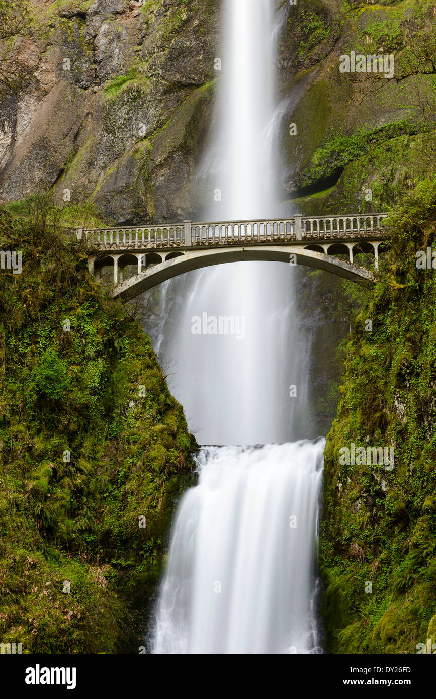 Multnomah Falls and Benson Bridge in the Columbia River Gorge Stock ...