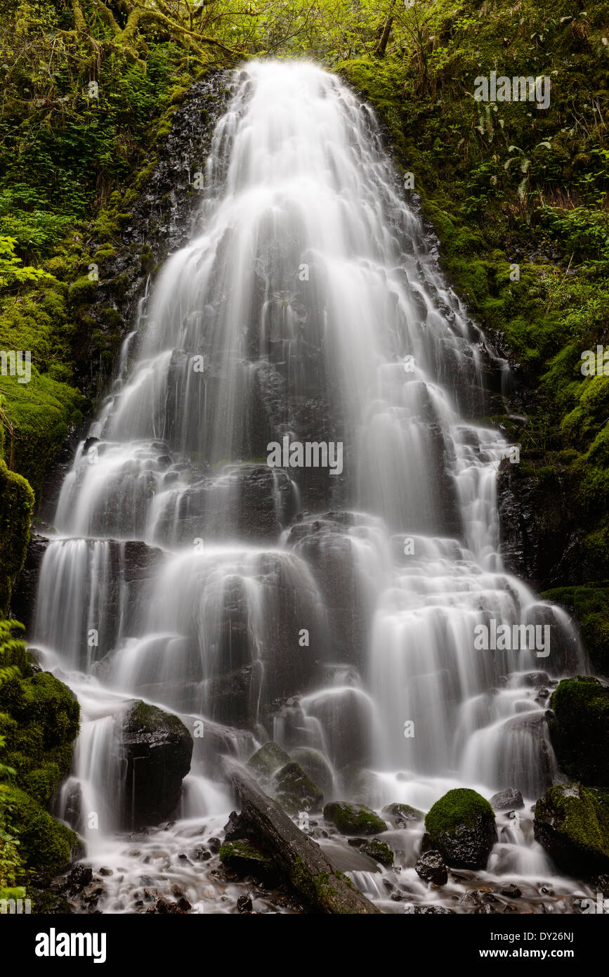 Fairy Falls is a 20-foot waterfall on the Oregon side of the Columbia ...