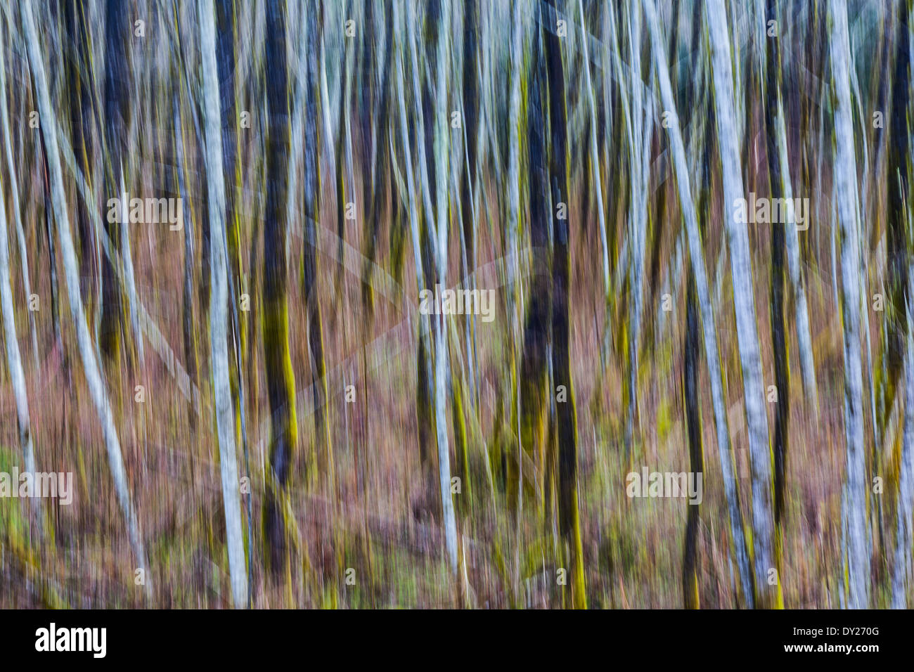 Soft camera movement hi-res stock photography and images - Alamy