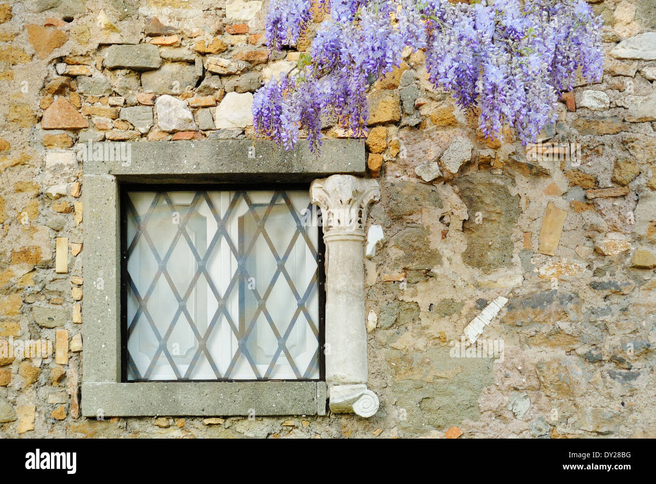 Ancient window with wisteria Stock Photo - Alamy