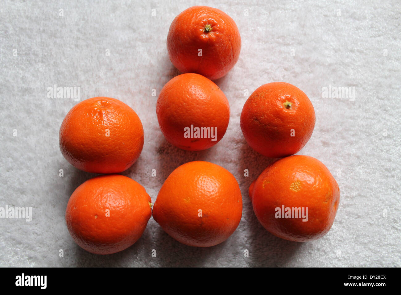juicy sweet bright fruits lay in raws Stock Photo - Alamy