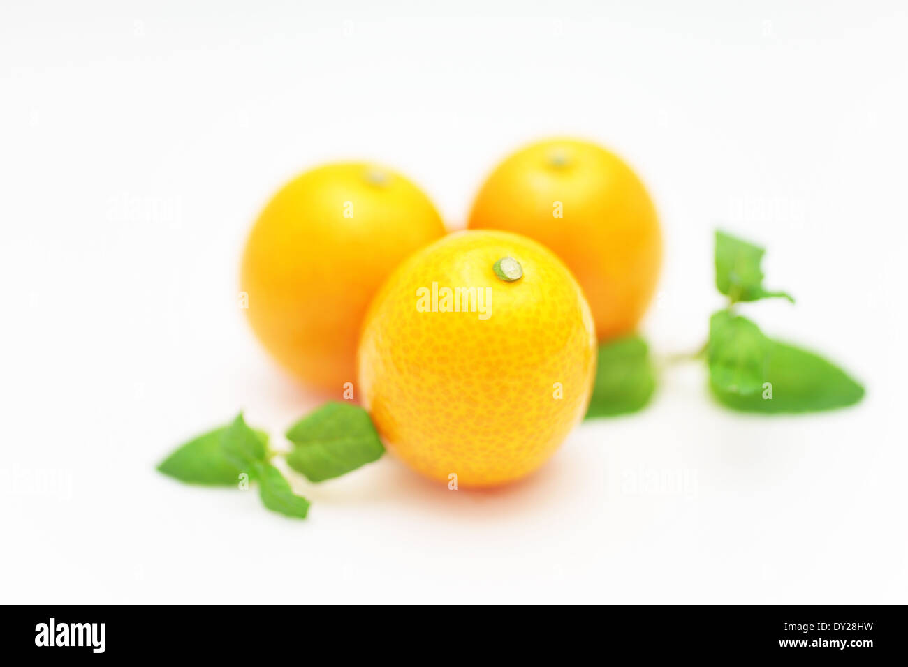Fruits back hi-res stock photography and images - Alamy