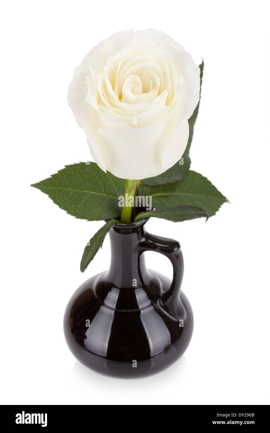 Single White Rose In Vase