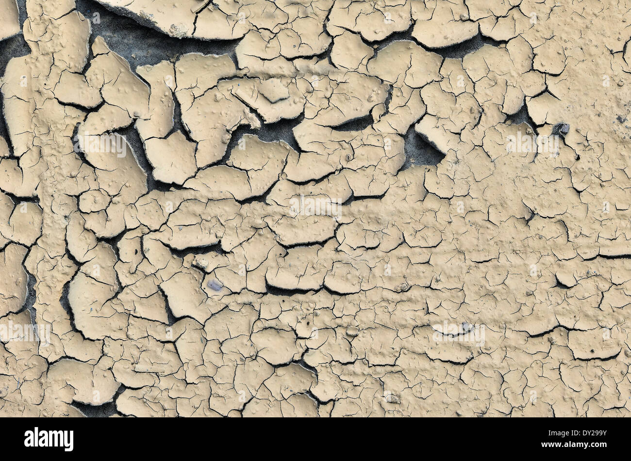 cracked clay ground into the dry season Stock Photo - Alamy