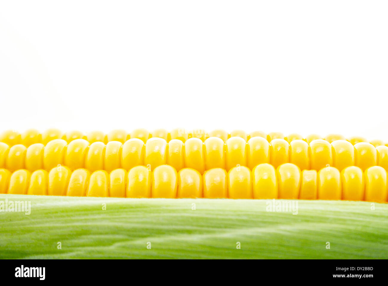 corn cob between green leaves Stock Photo - Alamy
