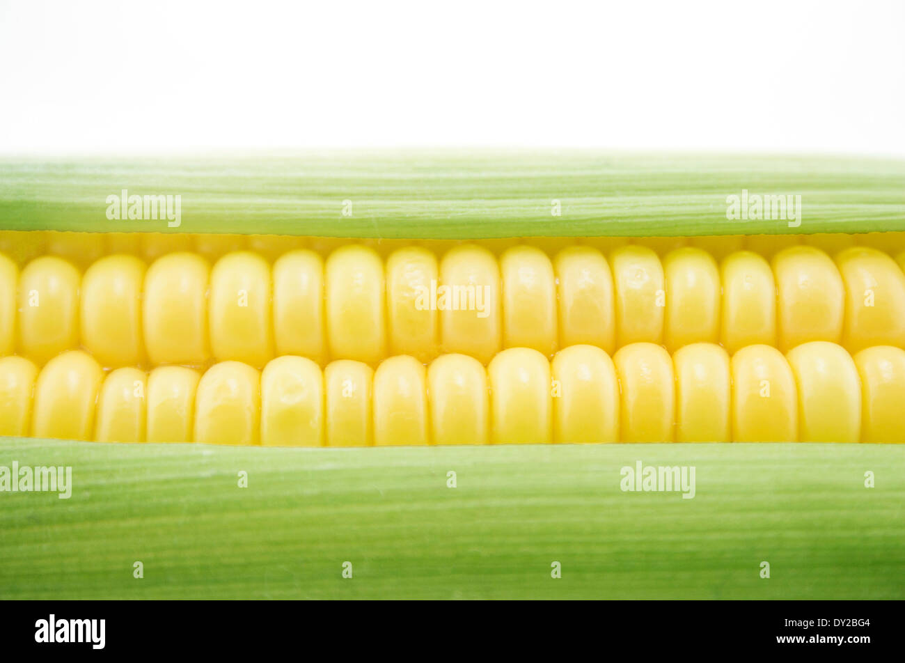 corn cob between green leaves Stock Photo - Alamy