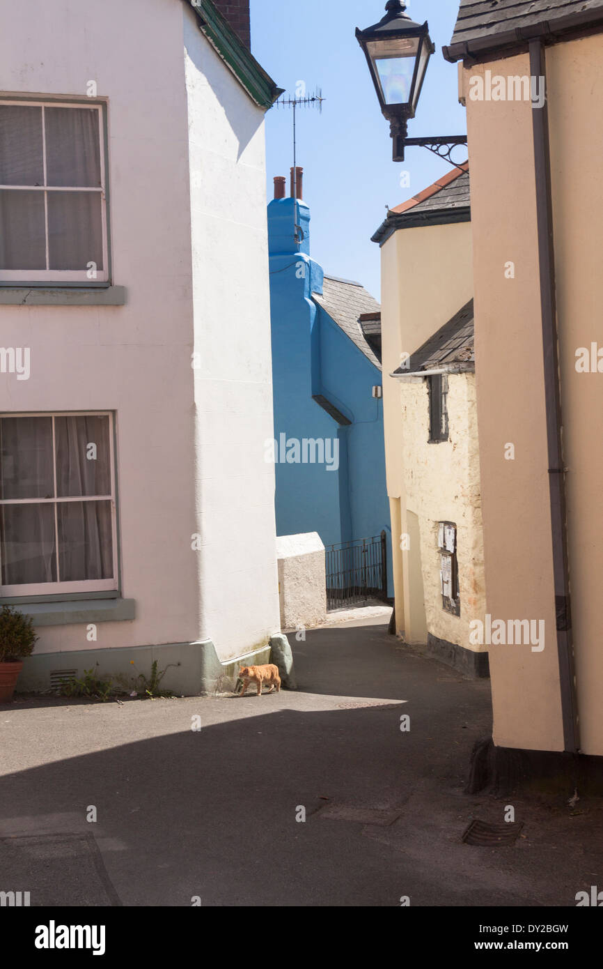 Cawsand village cornwall england uk hi-res stock photography and images ...