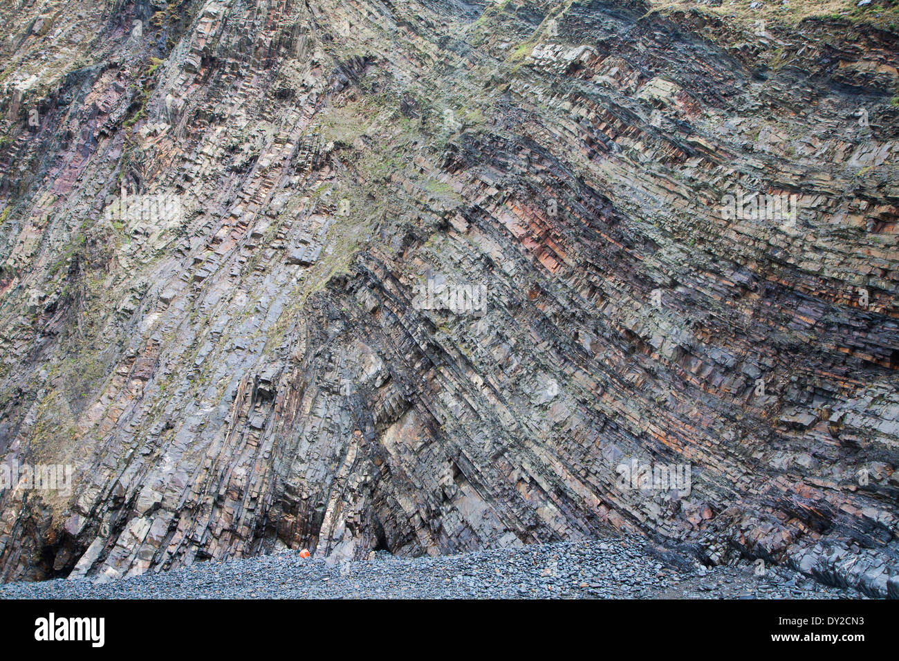 Complex folding of sedimentary rock strata in coastal cliffs at ...