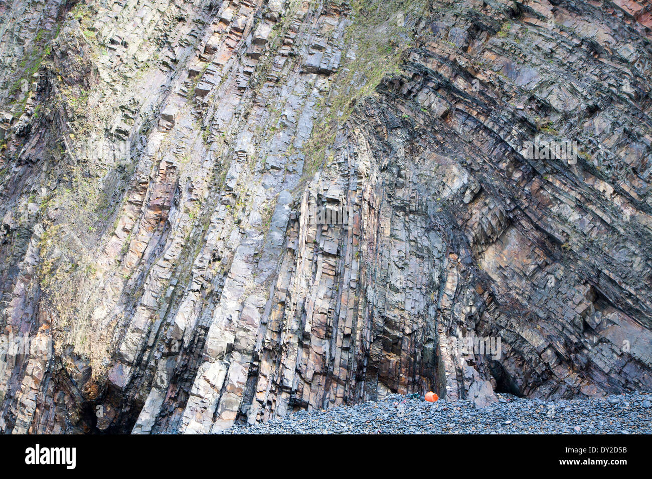 Complex folding of sedimentary rock strata in coastal cliffs at ...