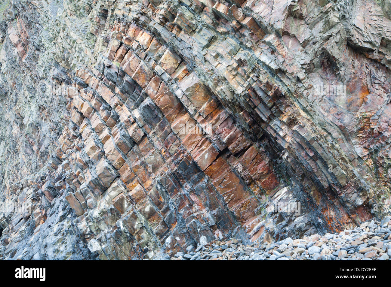 Complex folding of sedimentary rock strata in coastal cliffs at ...