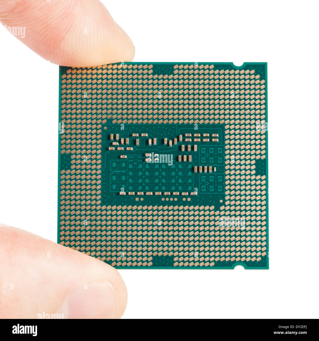 Macro of a computer's processor in hand isolated on a white background ...