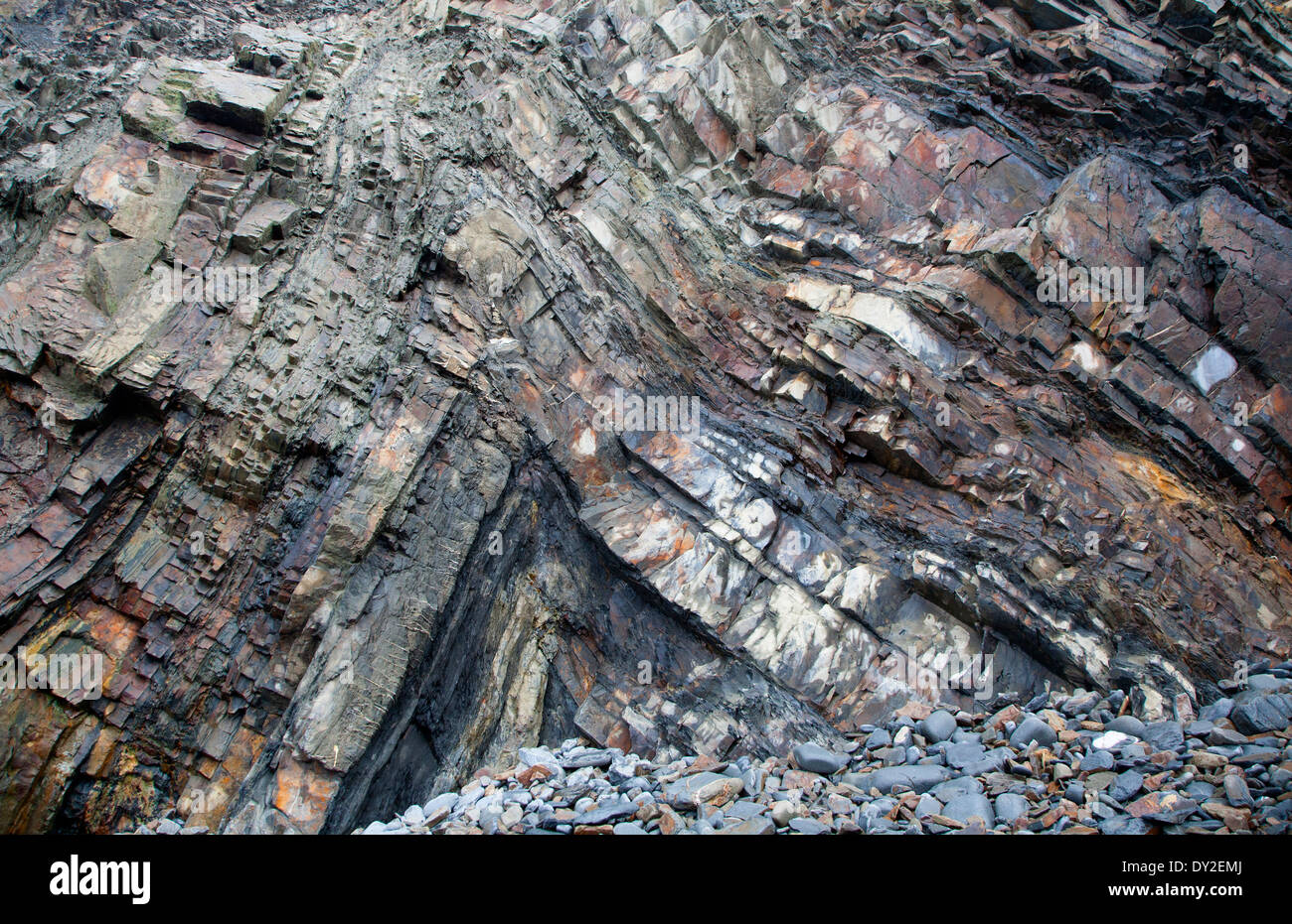 Complex folding of sedimentary rock strata in coastal cliffs at ...