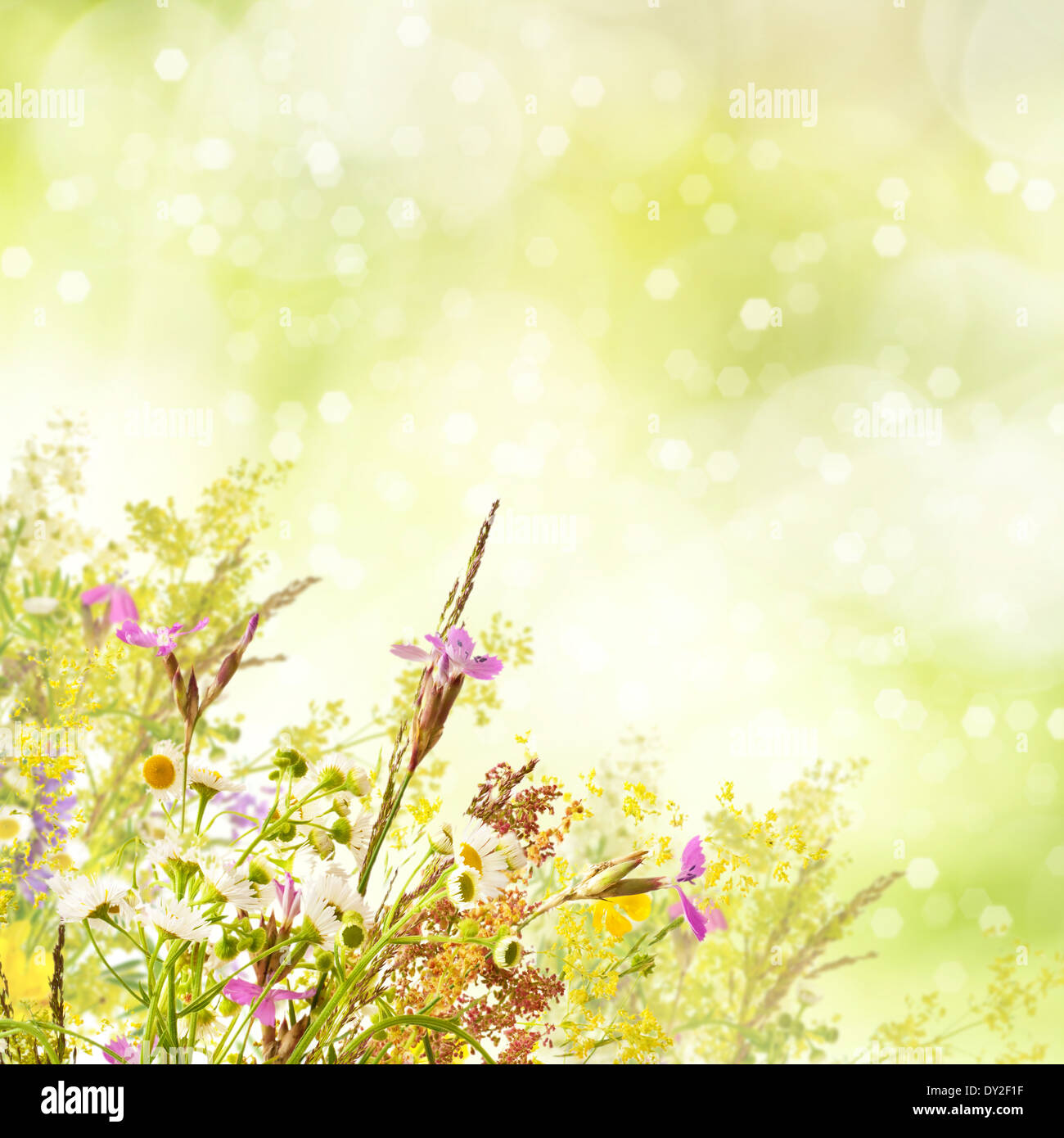 Floral easter background Stock Photo - Alamy