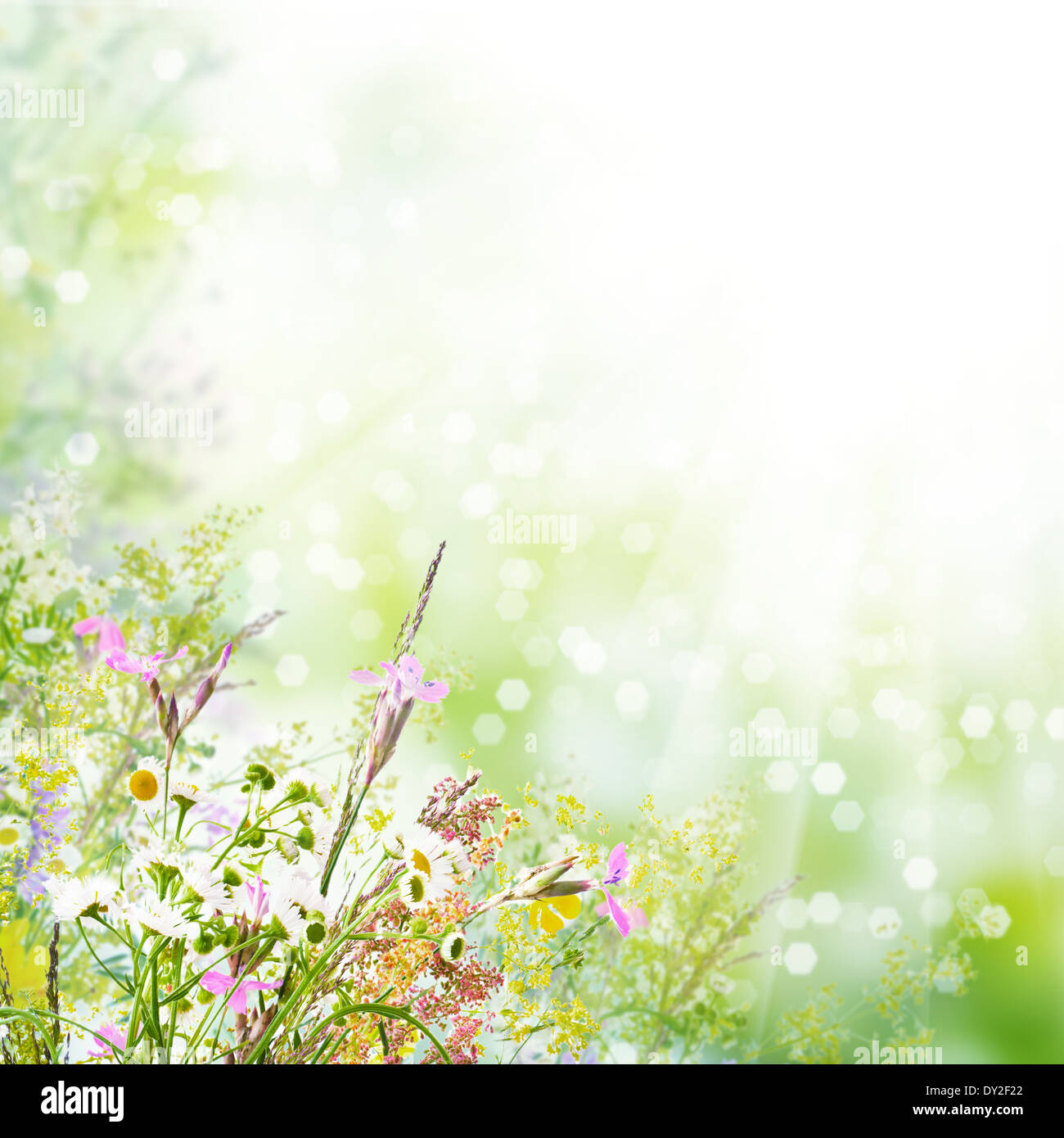 Floral easter background Stock Photo - Alamy