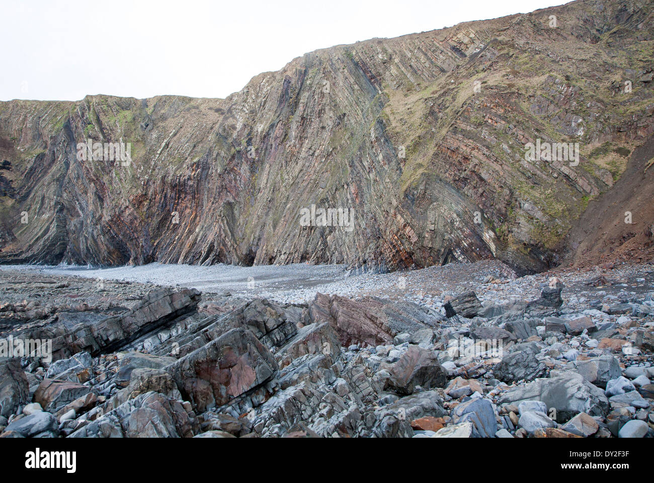 Complex folding of sedimentary rock strata in coastal cliffs at ...