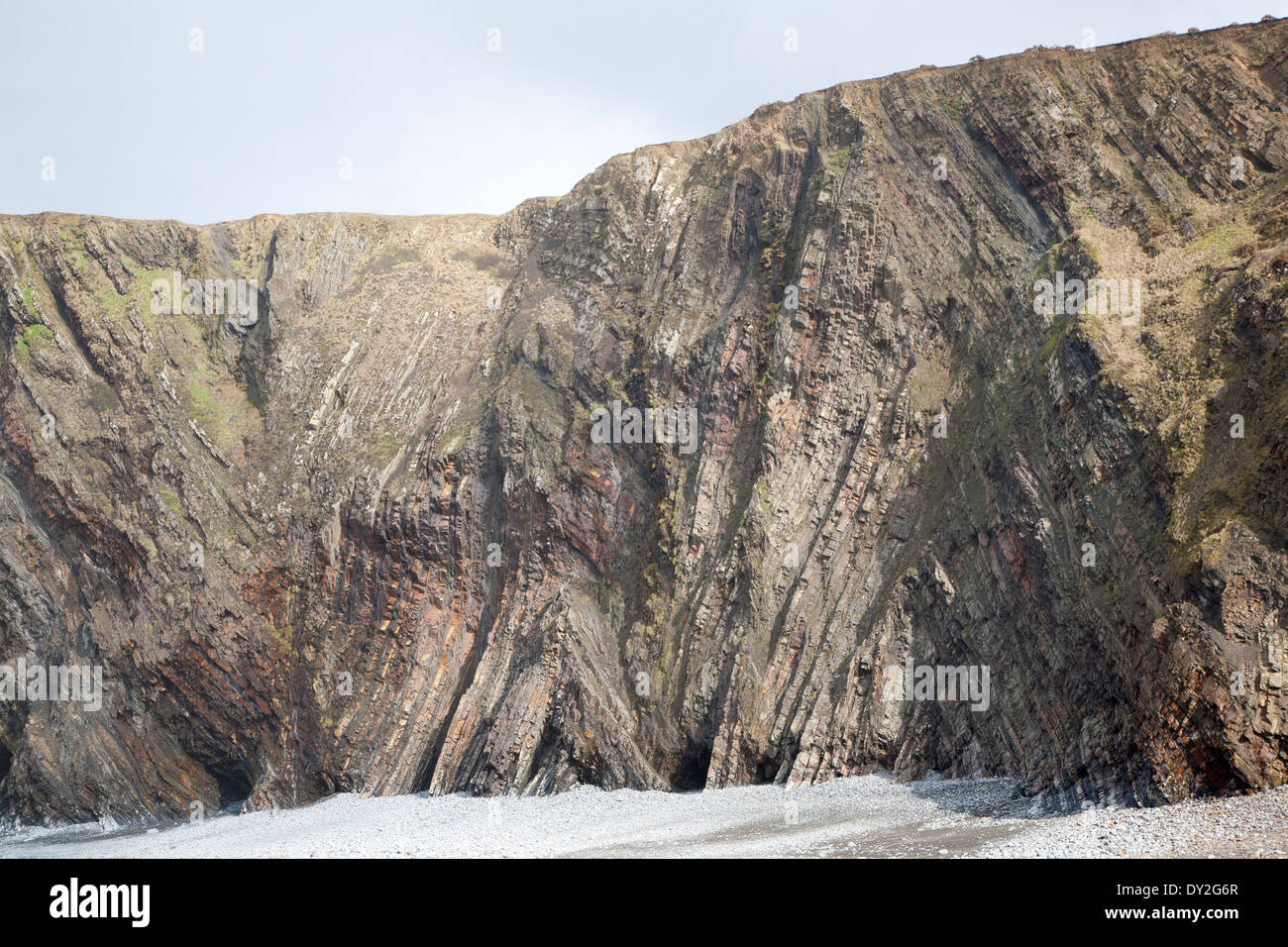 Complex folding of sedimentary rock strata in coastal cliffs at ...