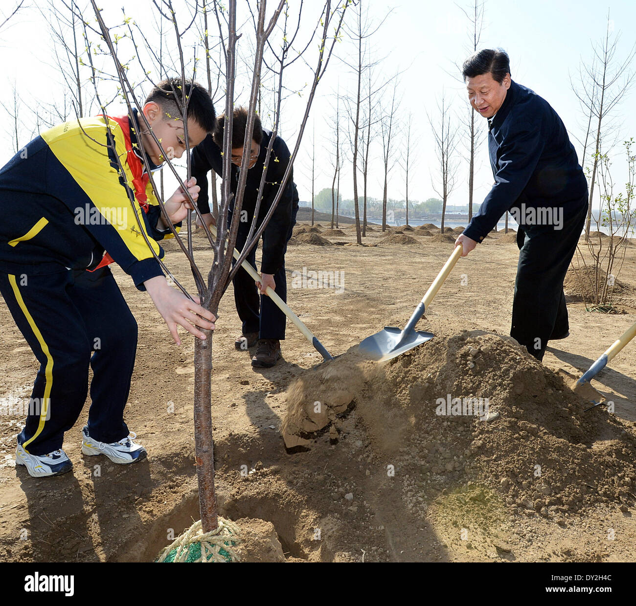 Beijing, China. 4th Apr, 2014. Chinese President Xi Jinping (R) plants ...