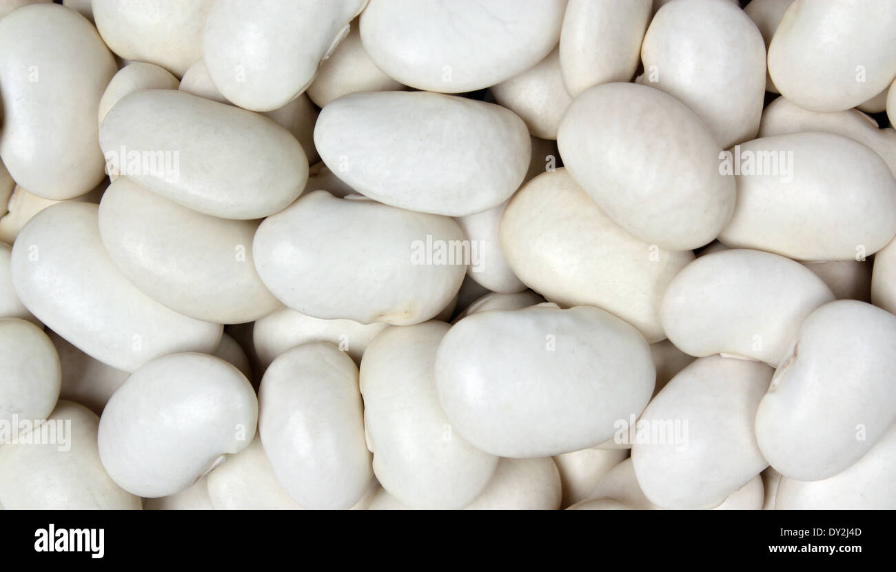 White haricot beans close up background Stock Photo - Alamy