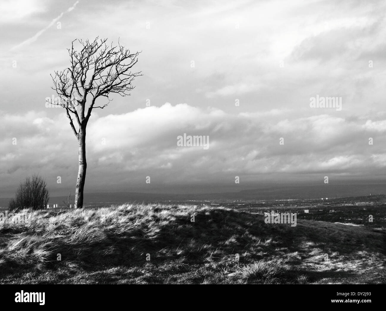 White stripped black hi-res stock photography and images - Alamy