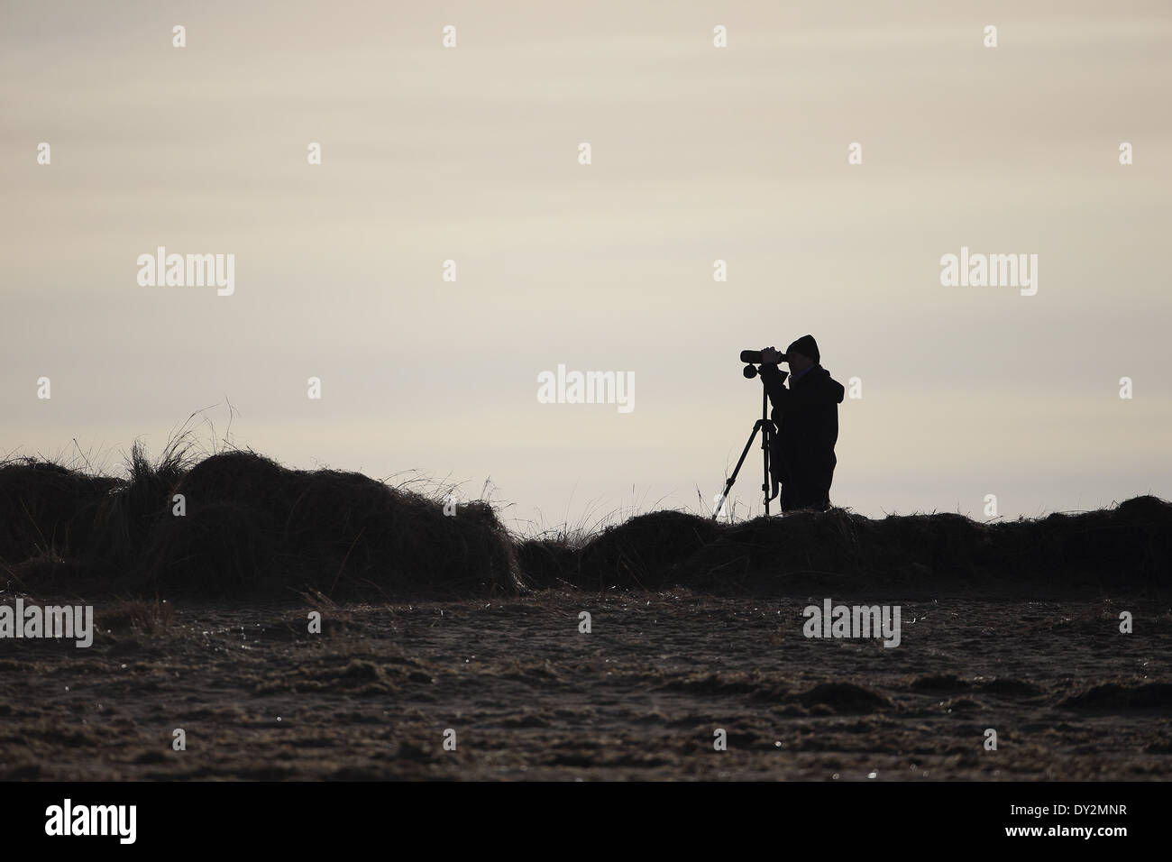 Birdwatchers with scopes hi-res stock photography and images - Alamy