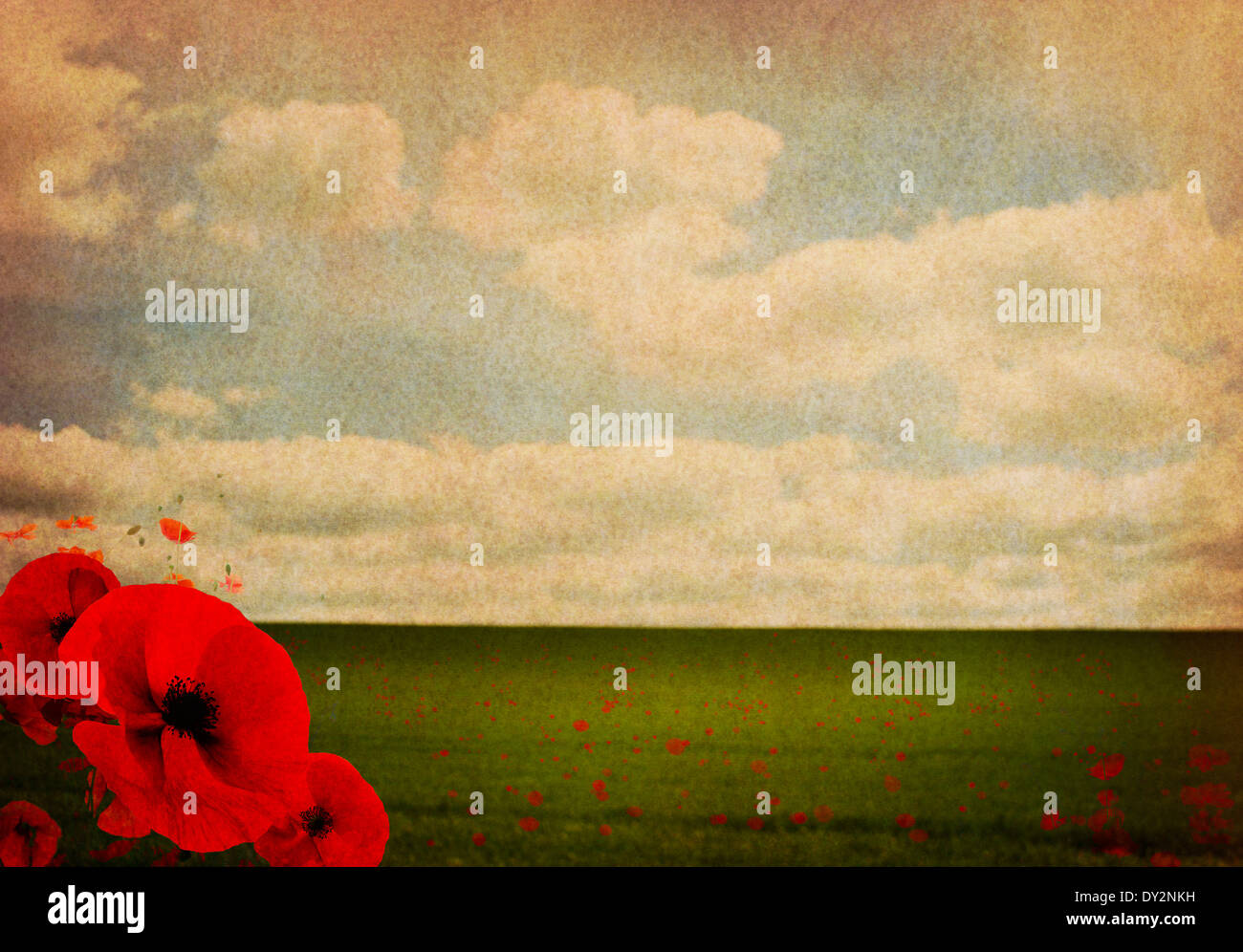 WW1 First World War Abstract Background with Poppies Stock Photo - Alamy