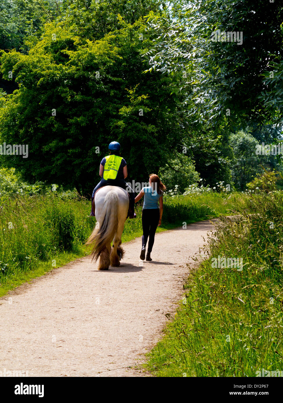 Shire horse ride hi-res stock photography and images - Alamy
