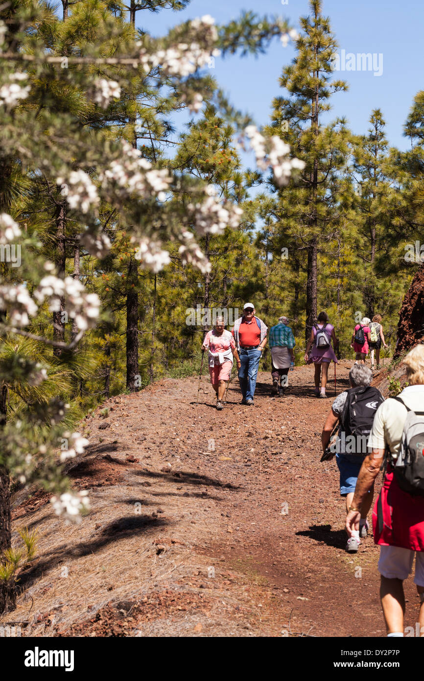 Spring trekking hi-res stock photography and images - Alamy