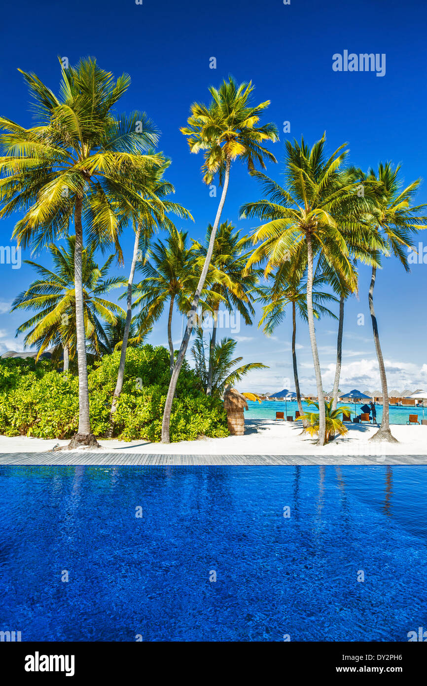 Luxury beach resort, scene destination, relaxation in paradise, exotic ...