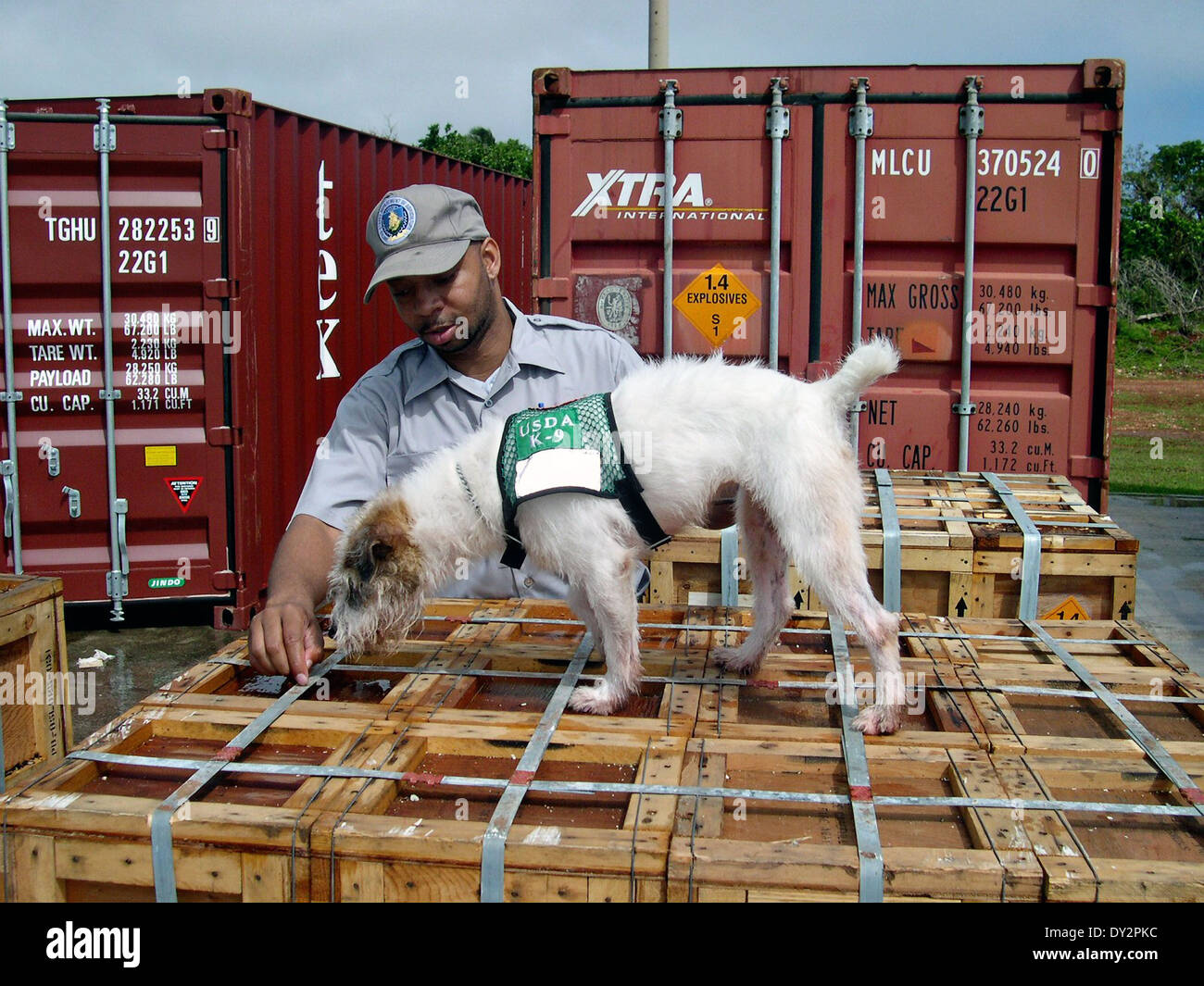 Are Dogs Invasive Species