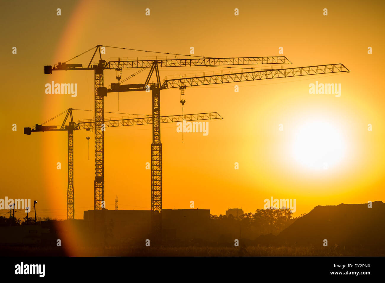 Construction cranes with sunset background Stock Photo - Alamy