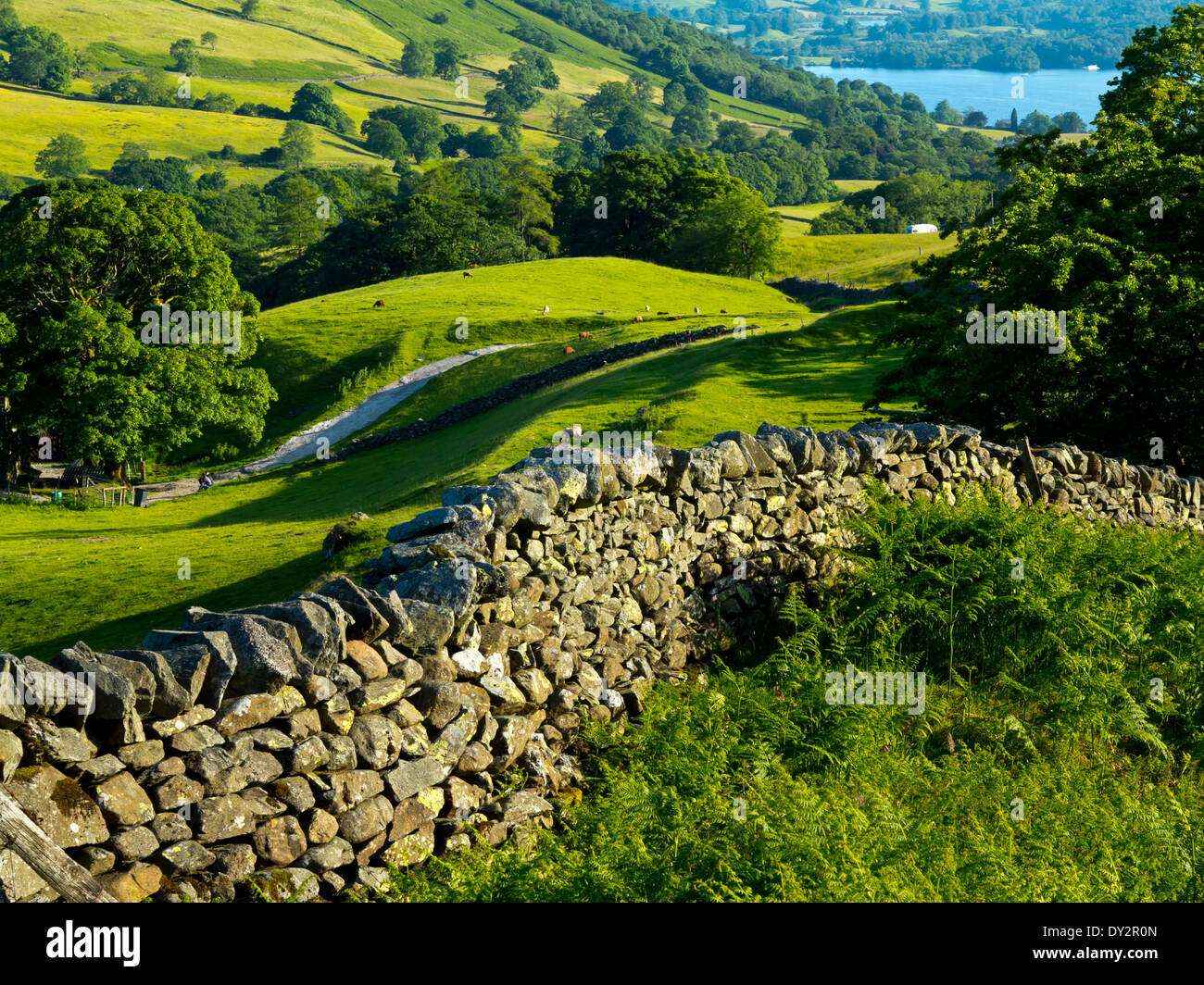 Drystone wall in rolling green countryside at Kirkstone Pass near ...