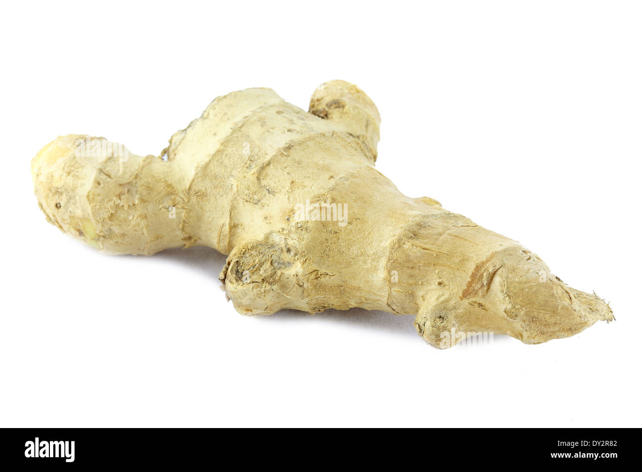 Chinese ginger plant hi-res stock photography and images - Alamy