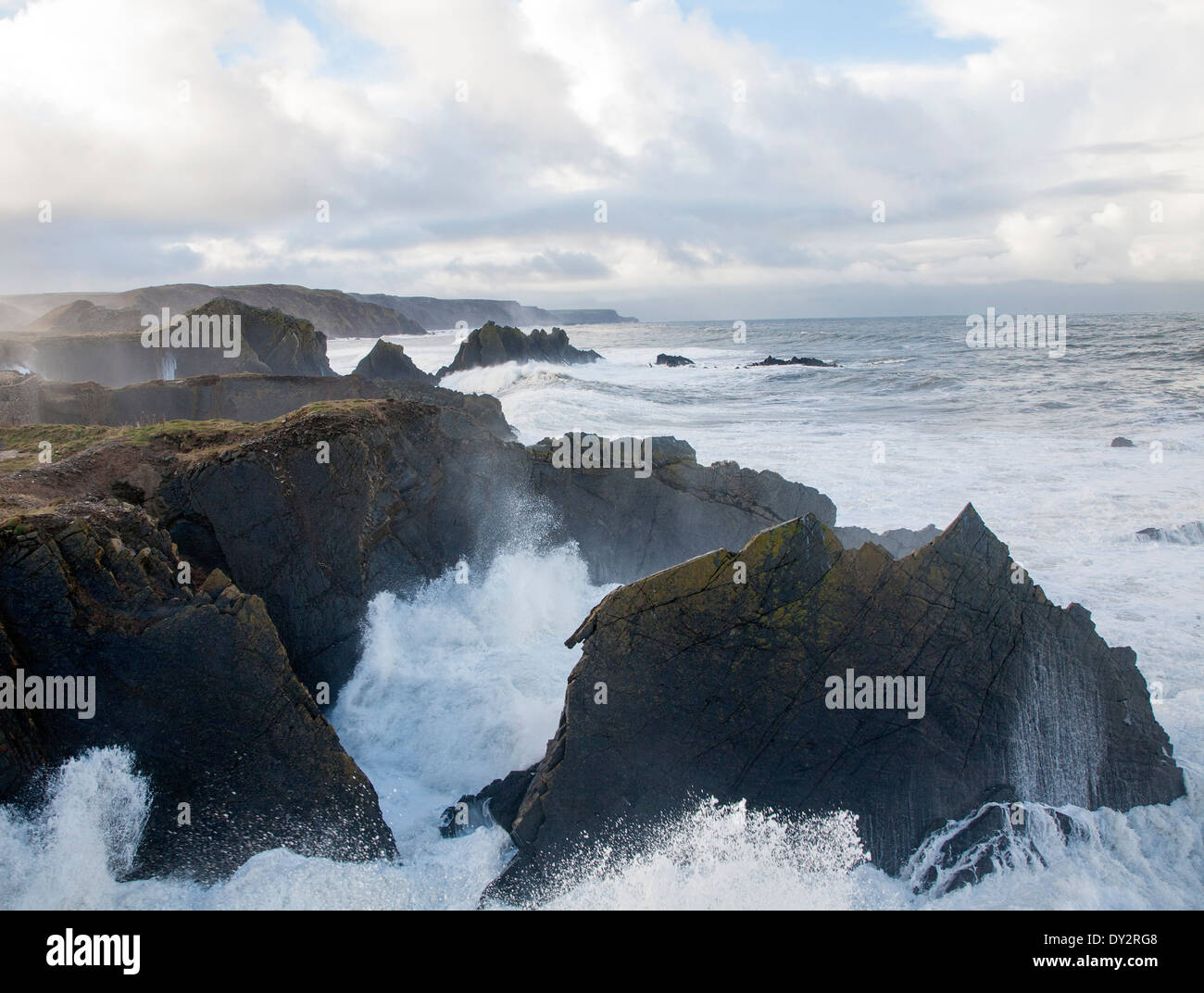 Large Atlantic storm waves crashing onto jagged rocky coast at Hartland ...