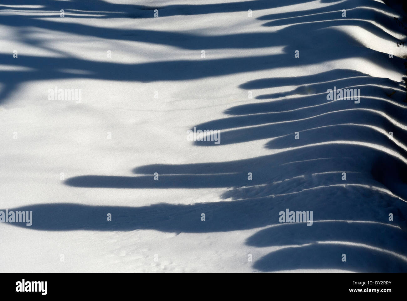 Cast shadows on snow Stock Photo - Alamy