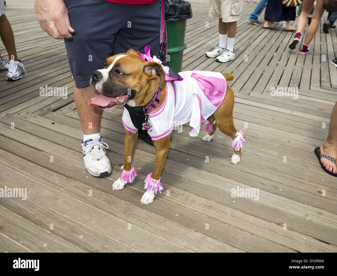 Cheerleader costume hi-res stock photography and images - Alamy