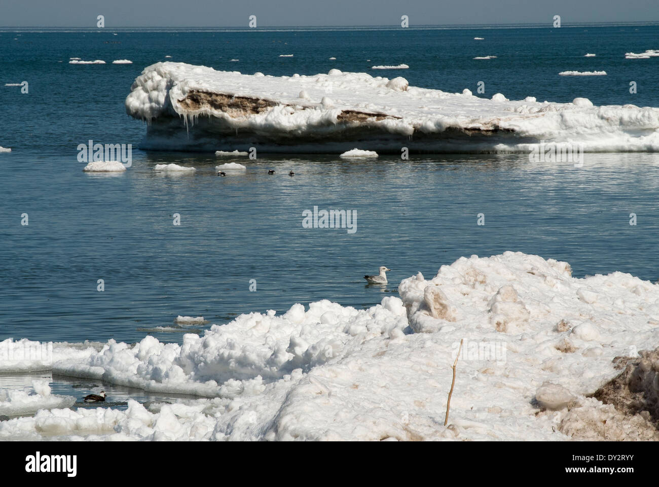 Ice build up on Lake Ontario shore line Stock Photo - Alamy
