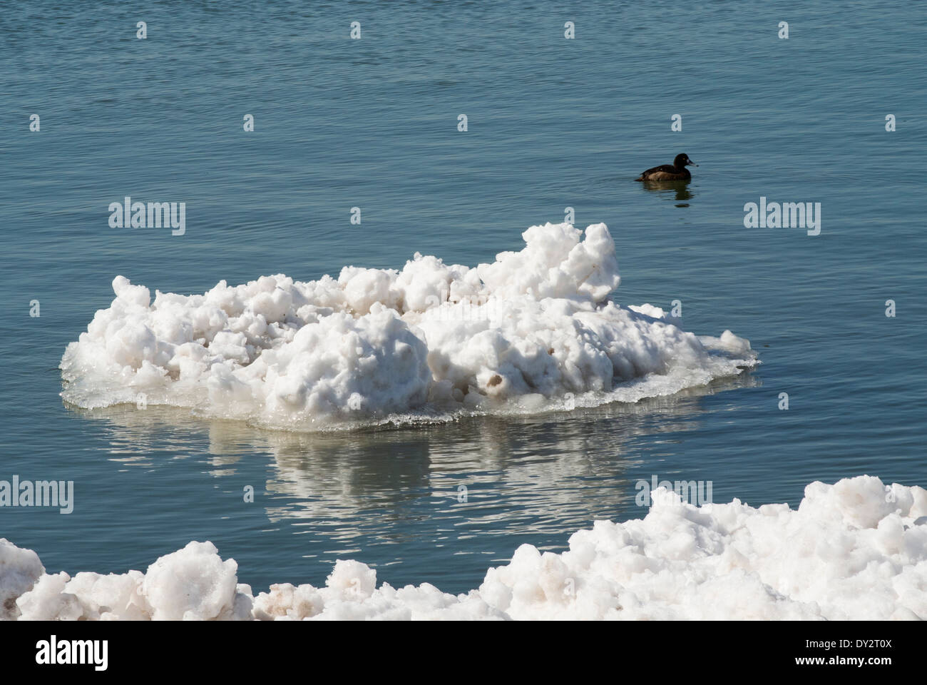 Ice build up on Lake Ontario shore line Stock Photo - Alamy