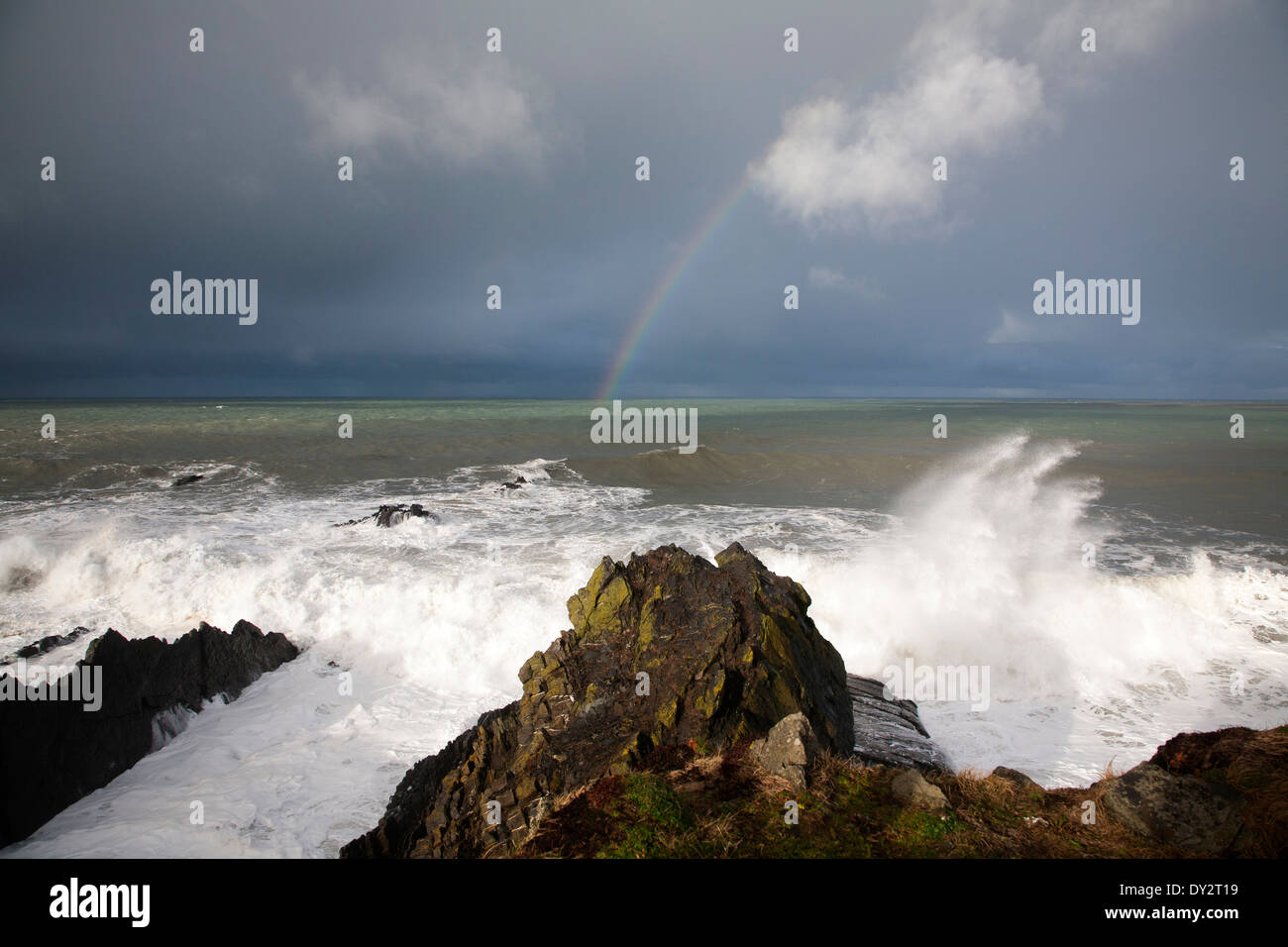 Large Atlantic storm waves crashing onto jagged rocky coast at Hartland ...