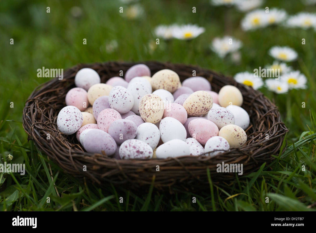 Mini chocolate easter eggs close hi-res stock photography and images ...