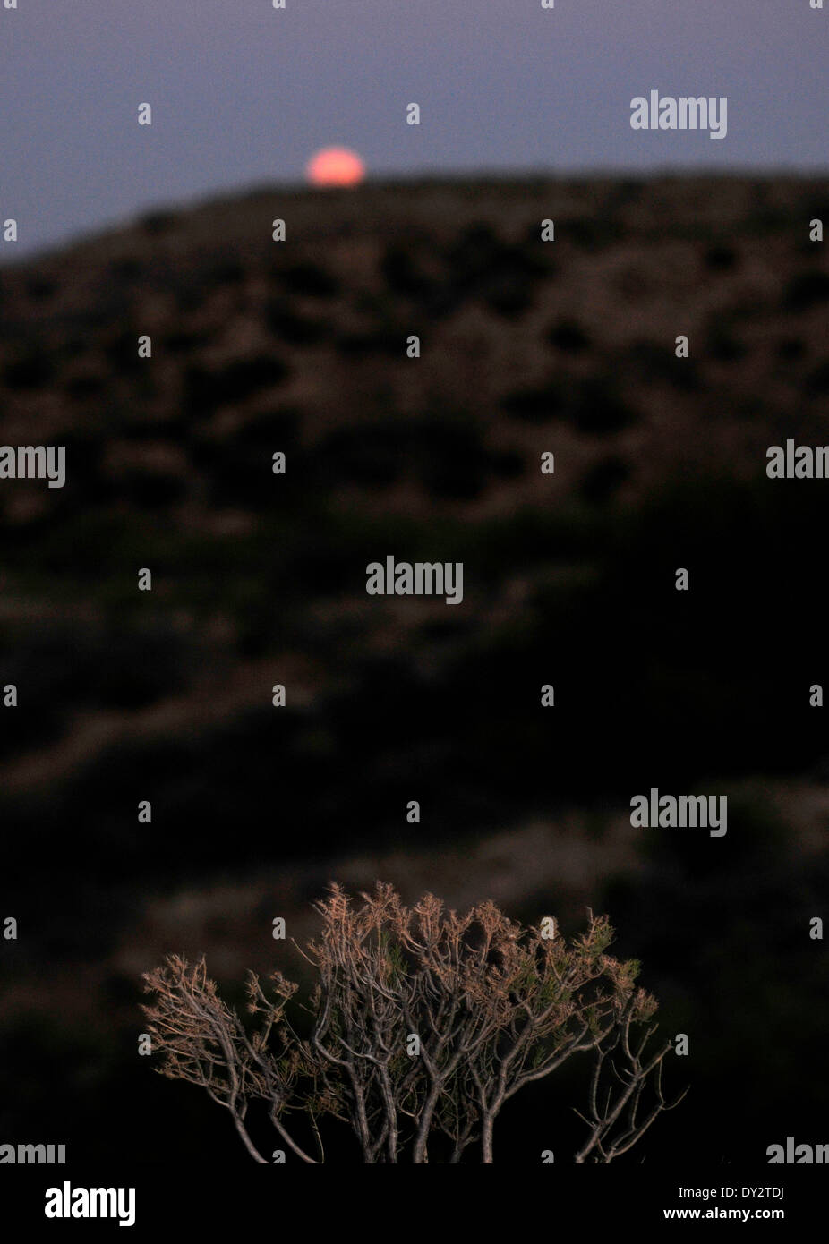Desert plants mountains full moon hi-res stock photography and images ...