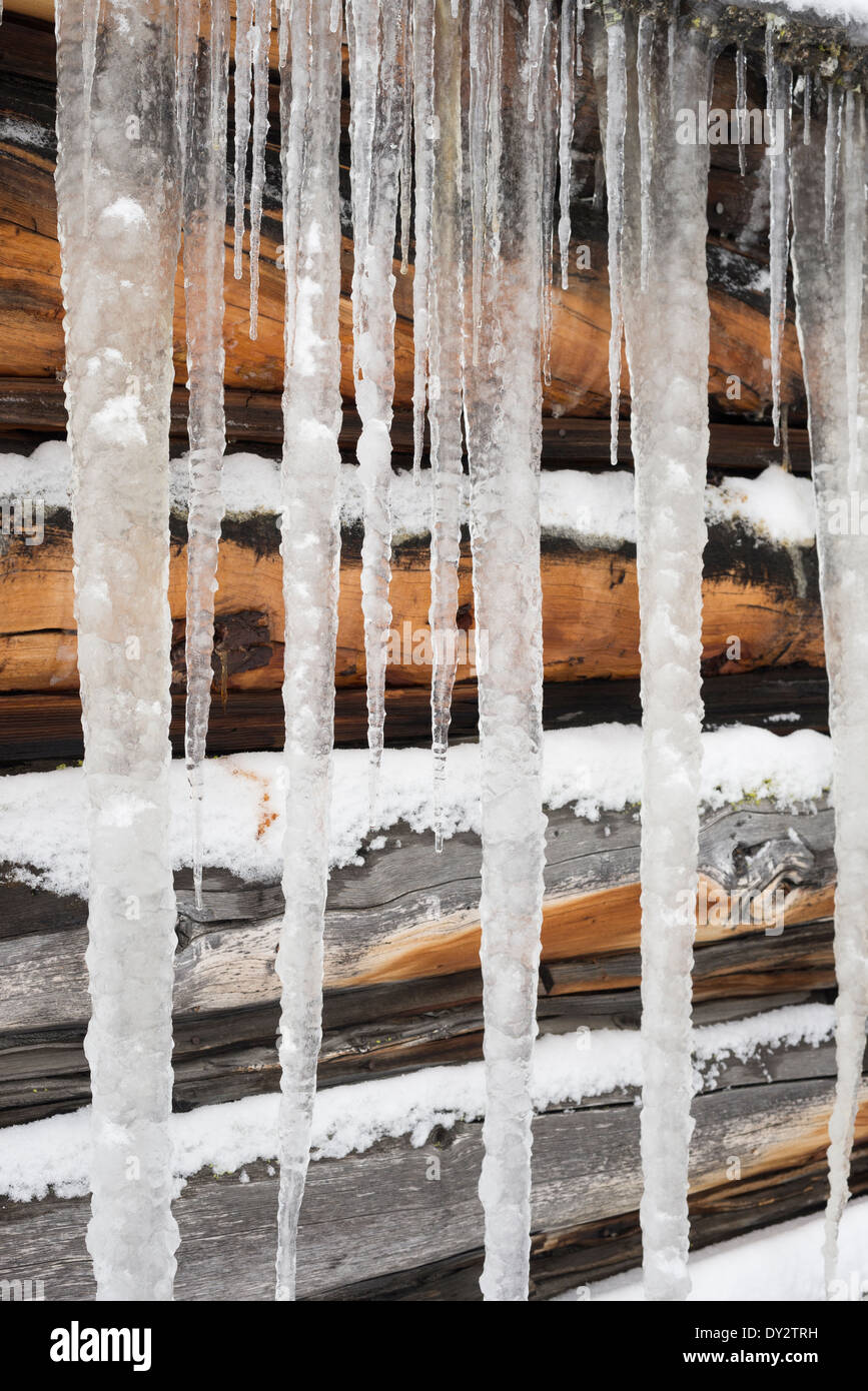 Hanging log hi-res stock photography and images - Alamy