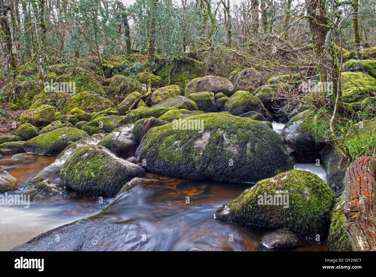 Becky Falls Woodland Park And Nature Trail, ( Becka Falls), Manaton ...