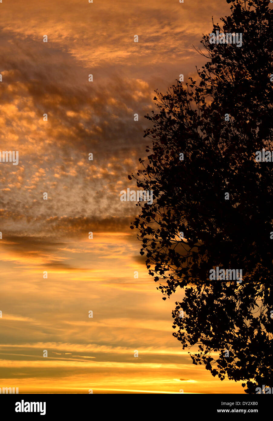 Tanque verde wash hi-res stock photography and images - Alamy