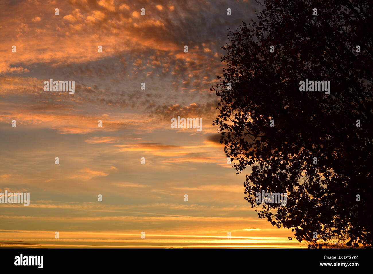 Tanque verde wash hi-res stock photography and images - Alamy
