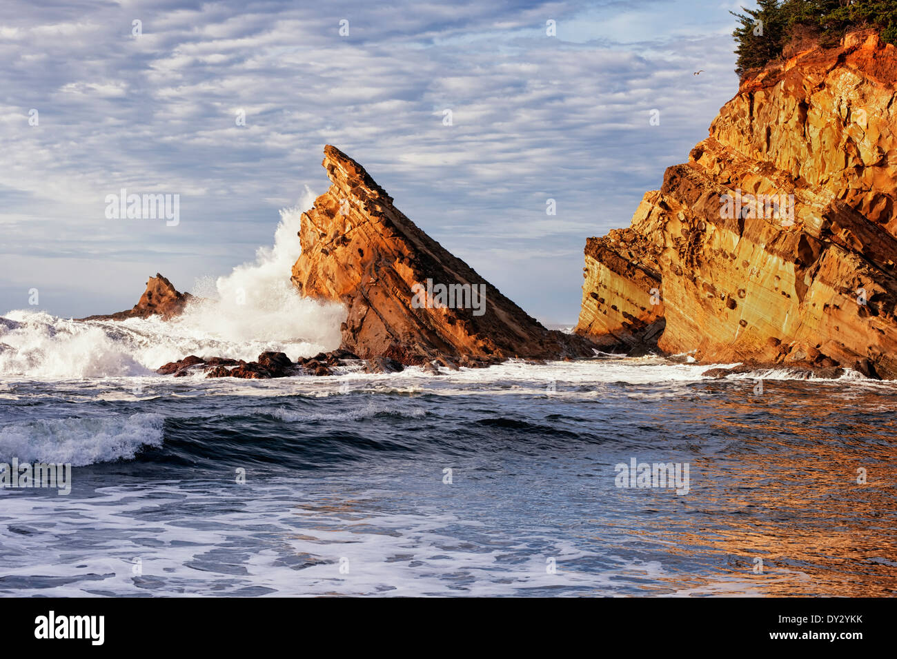 Shore acres state park hi-res stock photography and images - Alamy