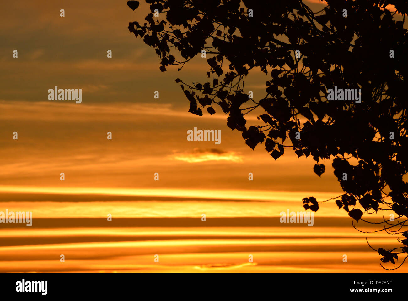 Tanque verde wash hi-res stock photography and images - Alamy