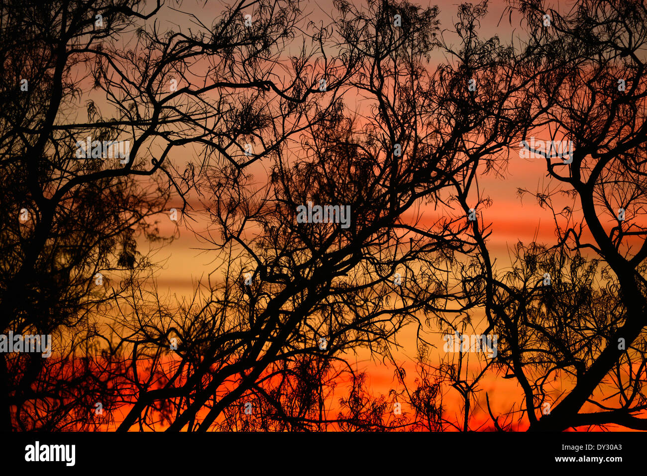 Tanque verde wash hi-res stock photography and images - Alamy