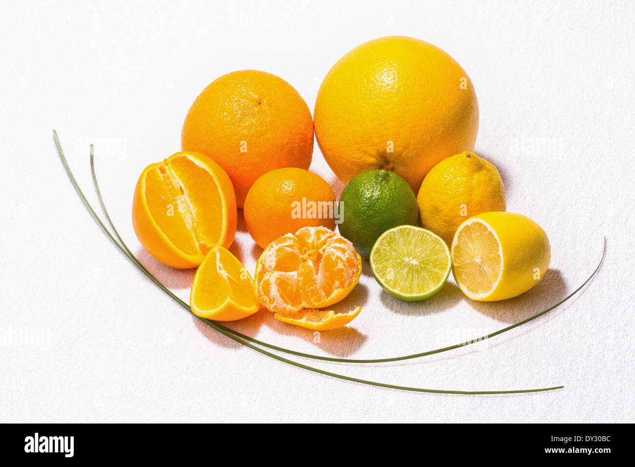 Citrus fruit still life hi-res stock photography and images - Alamy