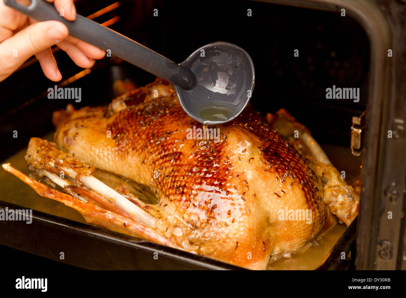 Postup High Resolution Stock Photography and Images - Alamy