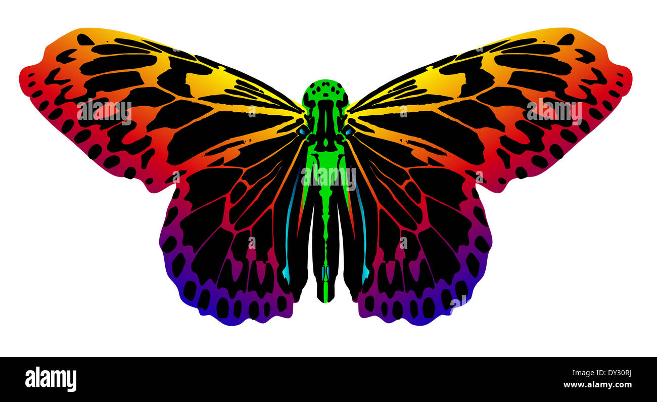 colorful butterfly isolated on white background Stock Photo - Alamy